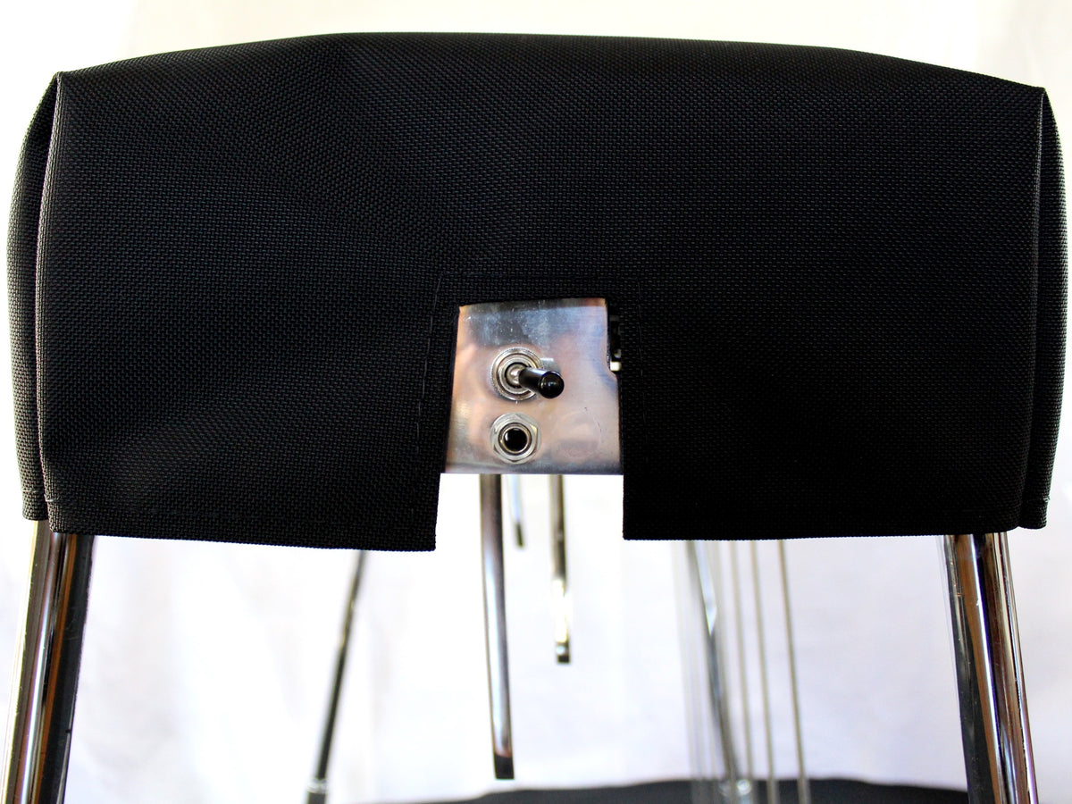 D-10 Pedal Steel Guitar Cover – SFBAGWRX